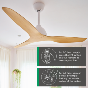 Ceiling Fan Direction - Summer or Winter - Fanco Australia