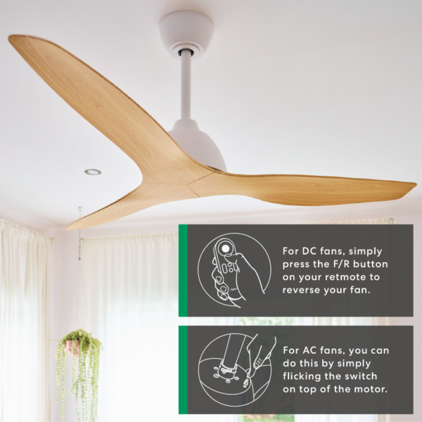 Ceiling Fan Direction - Summer or Winter - Fanco Australia